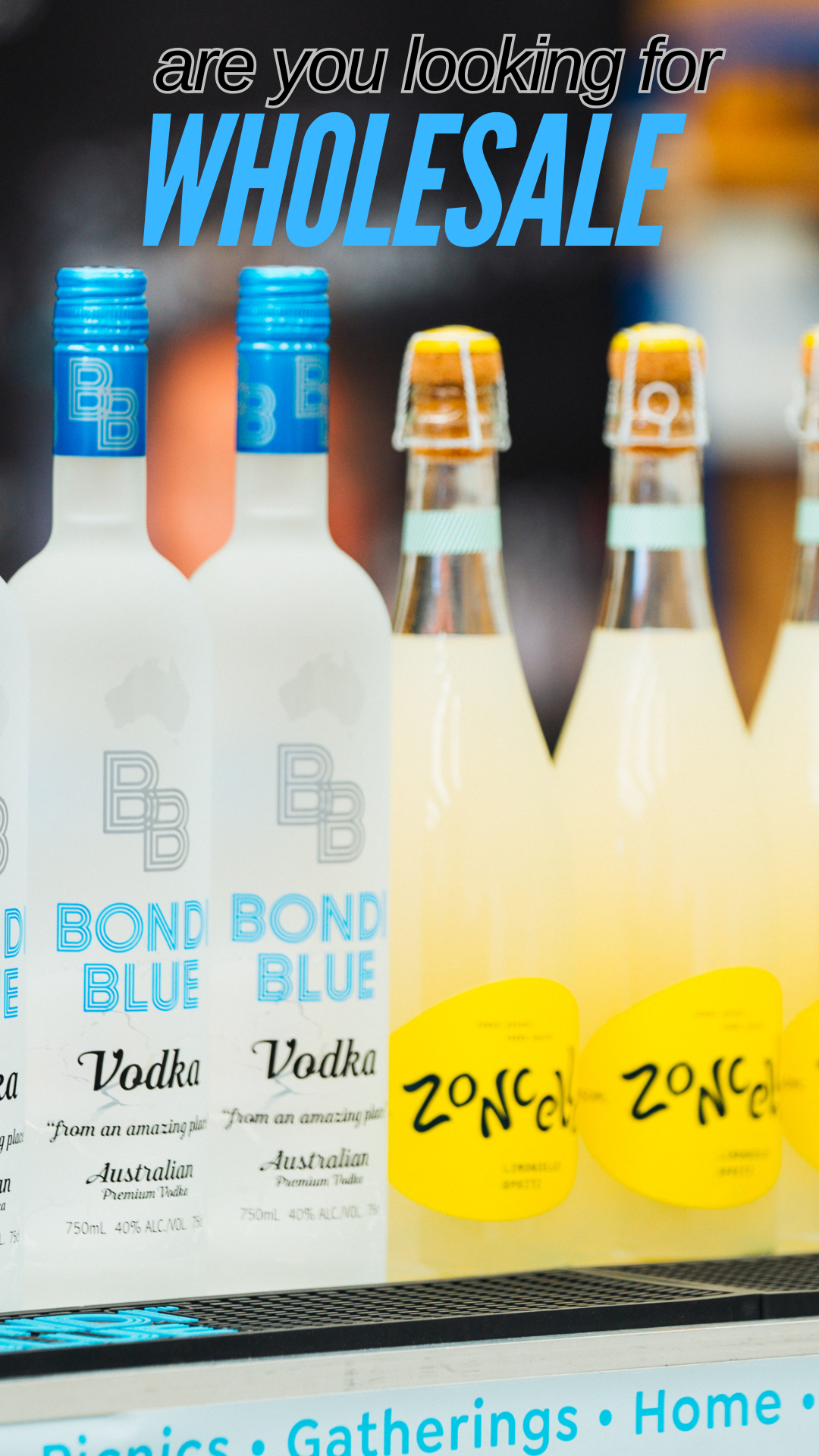 Wholesale – Everyday Drinks